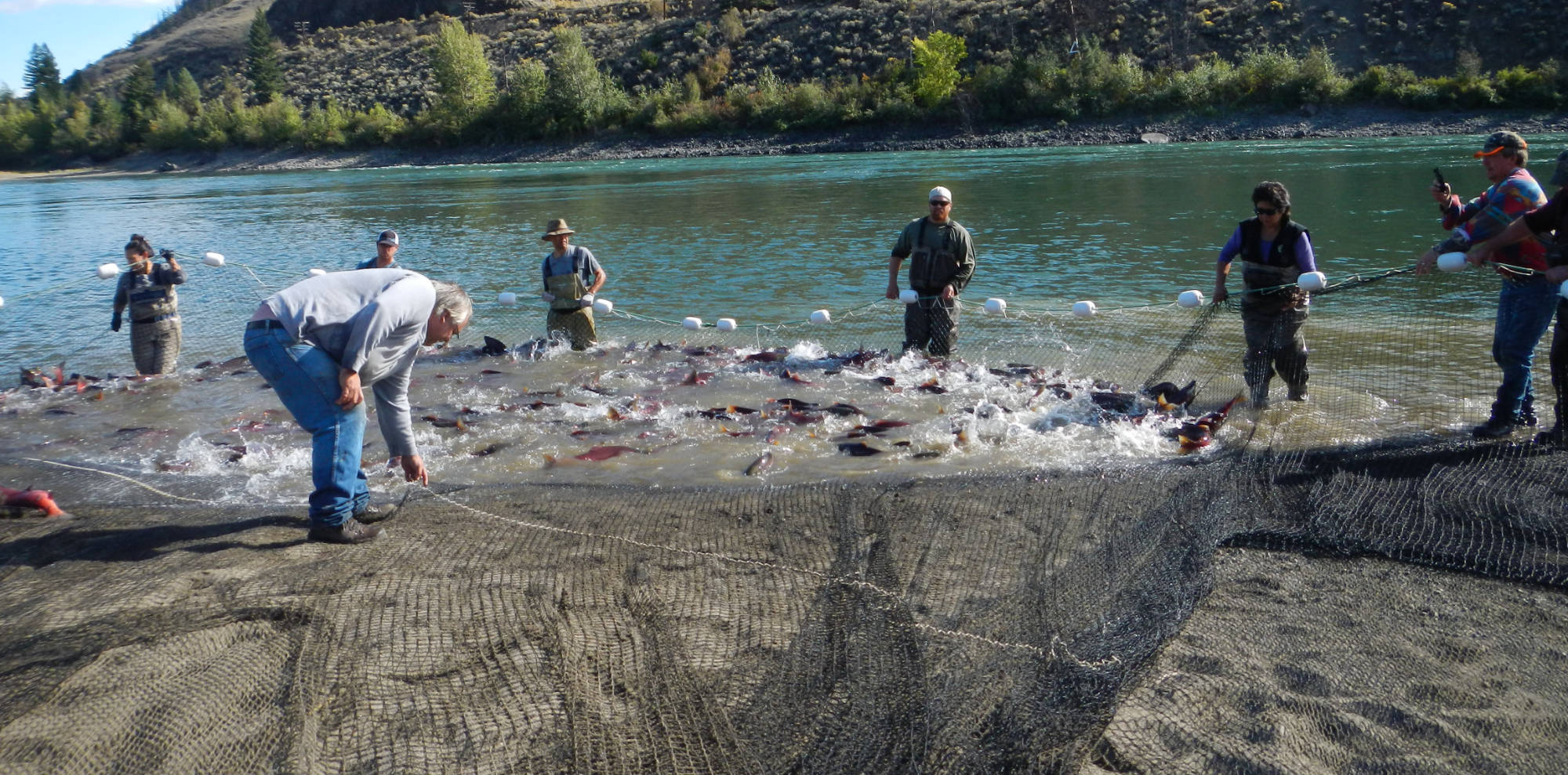 Policy for the management of aboriginal fishing (1993) | First Nations ...