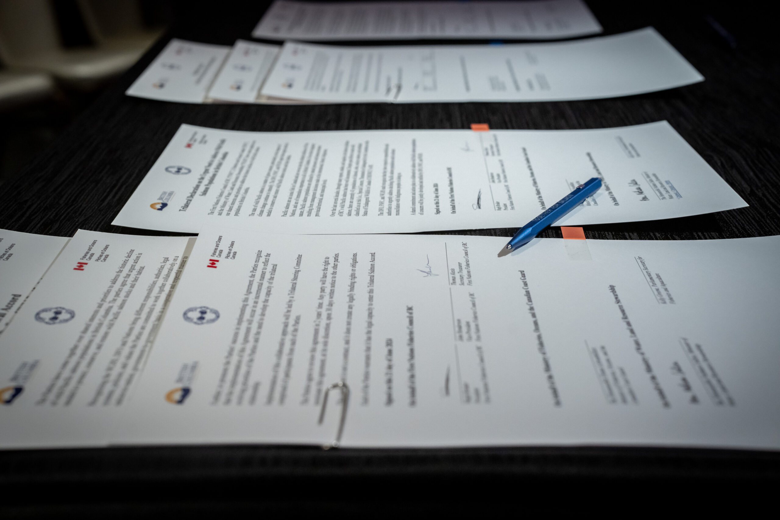 Trilateral Declaration and Accord to Address the Decline of Wild ...